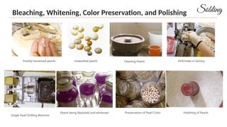 Optimization Process, Identification And Maintenance Of Pearls.pptx