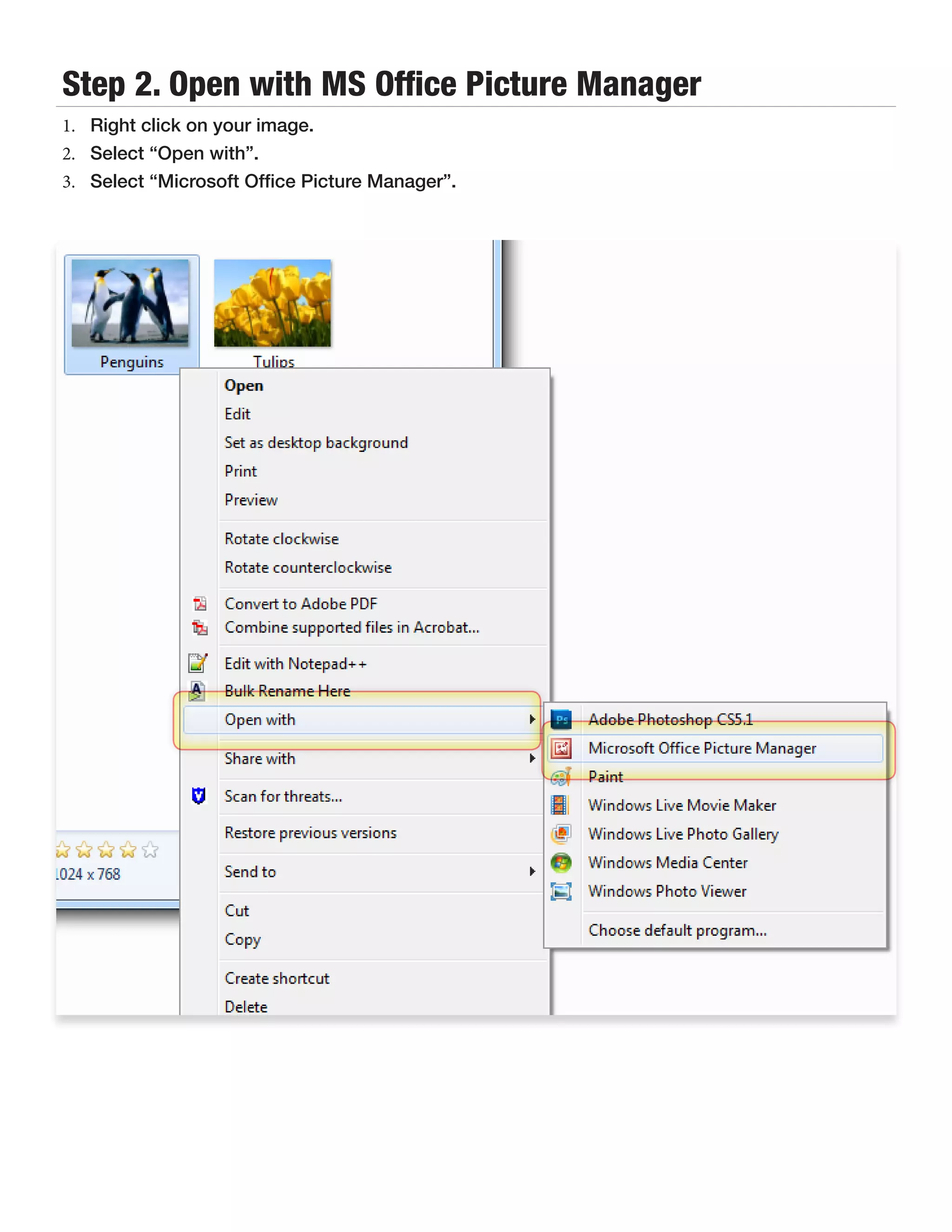 Optimizing jpgs with MS Office Picture Manager | PDF