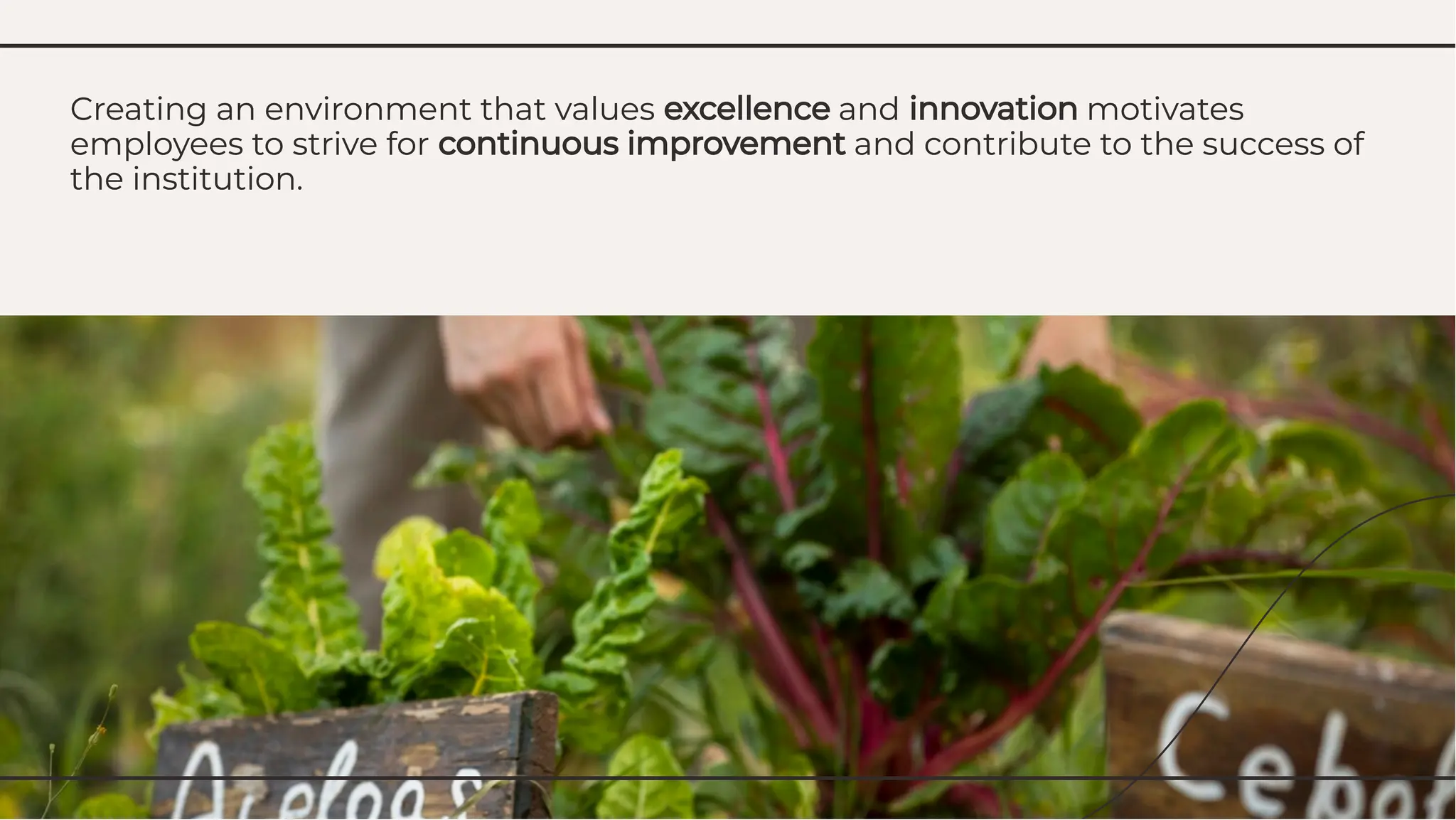 optimizing-institutional-best-practices-.pdf optimizing-institutional-best-practices-.pdf