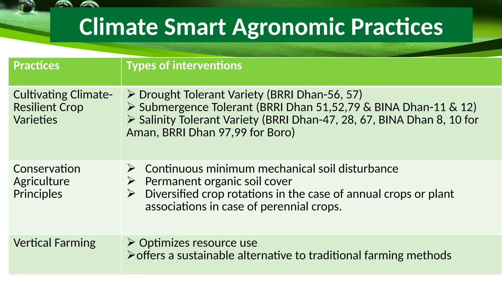 Optimizing Agronomic Practices against CC.pptx
