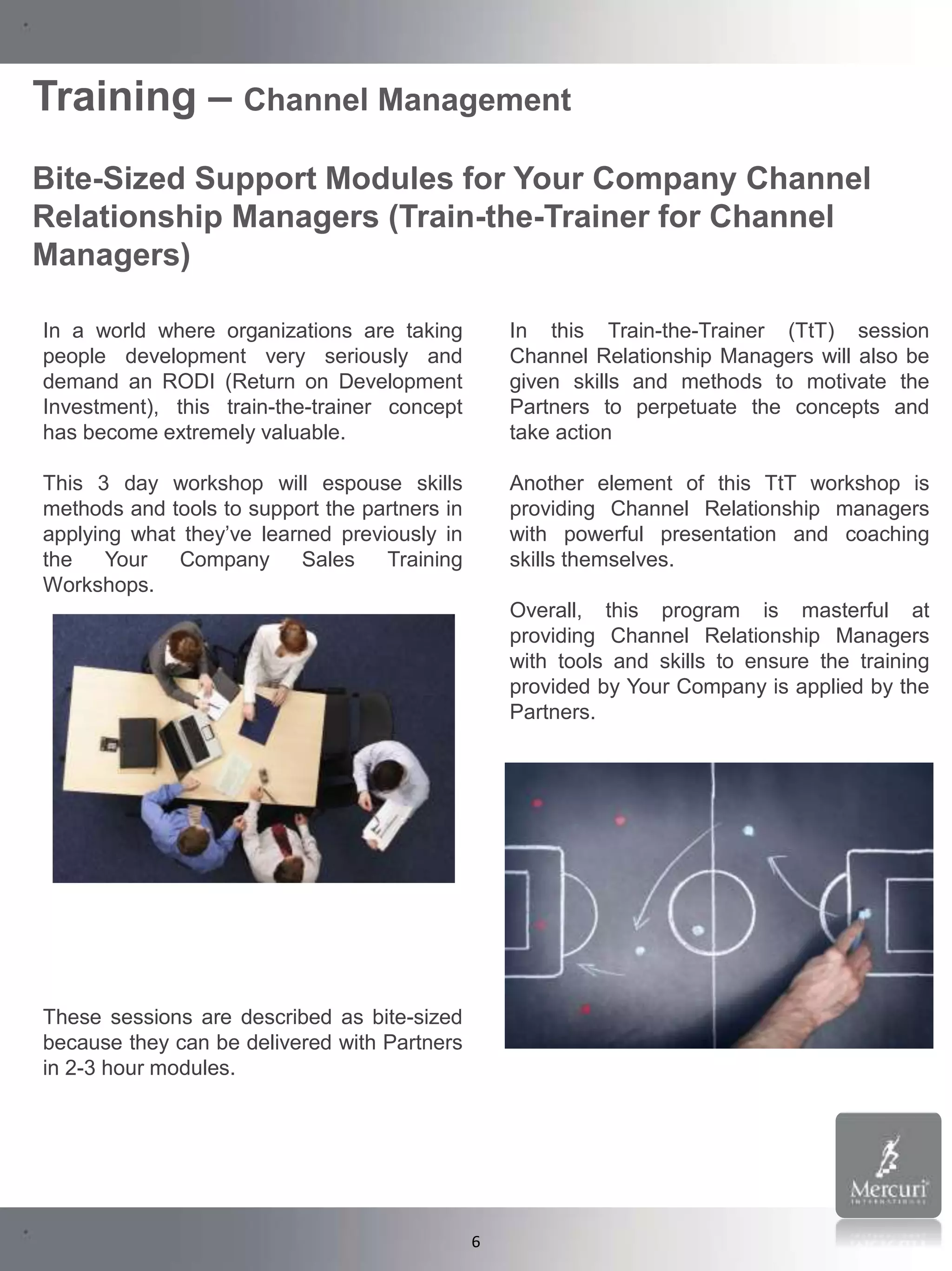 Optimizing Channel Sales by Mercuri International | PDF