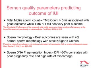 Optimizing clinical outcome of IUI | PDF