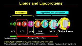 Optimizing CVD Risk Reduction Beyond LDL-C; Role of Non-HDL Cholesterol ...