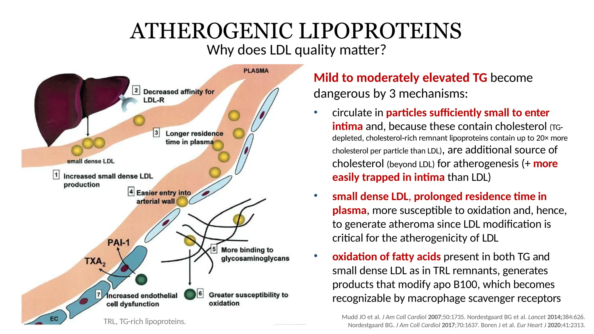 Optimizing CVD Risk Reduction Beyond LDL-C; Role of Non-HDL Cholesterol ...