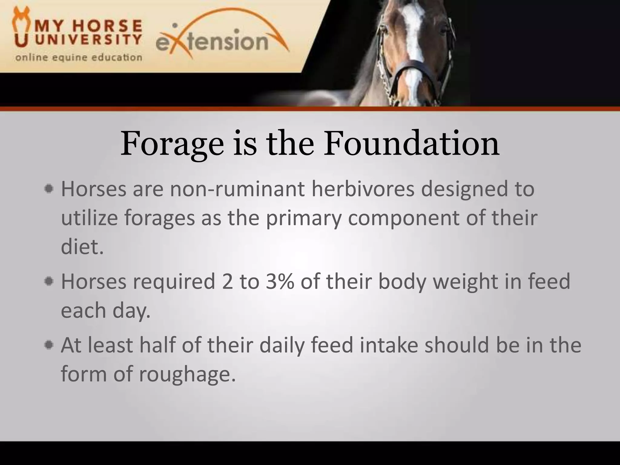Optimizing Hay And Feeding Storage (Martinson) | PPTX | Equine Sports ...