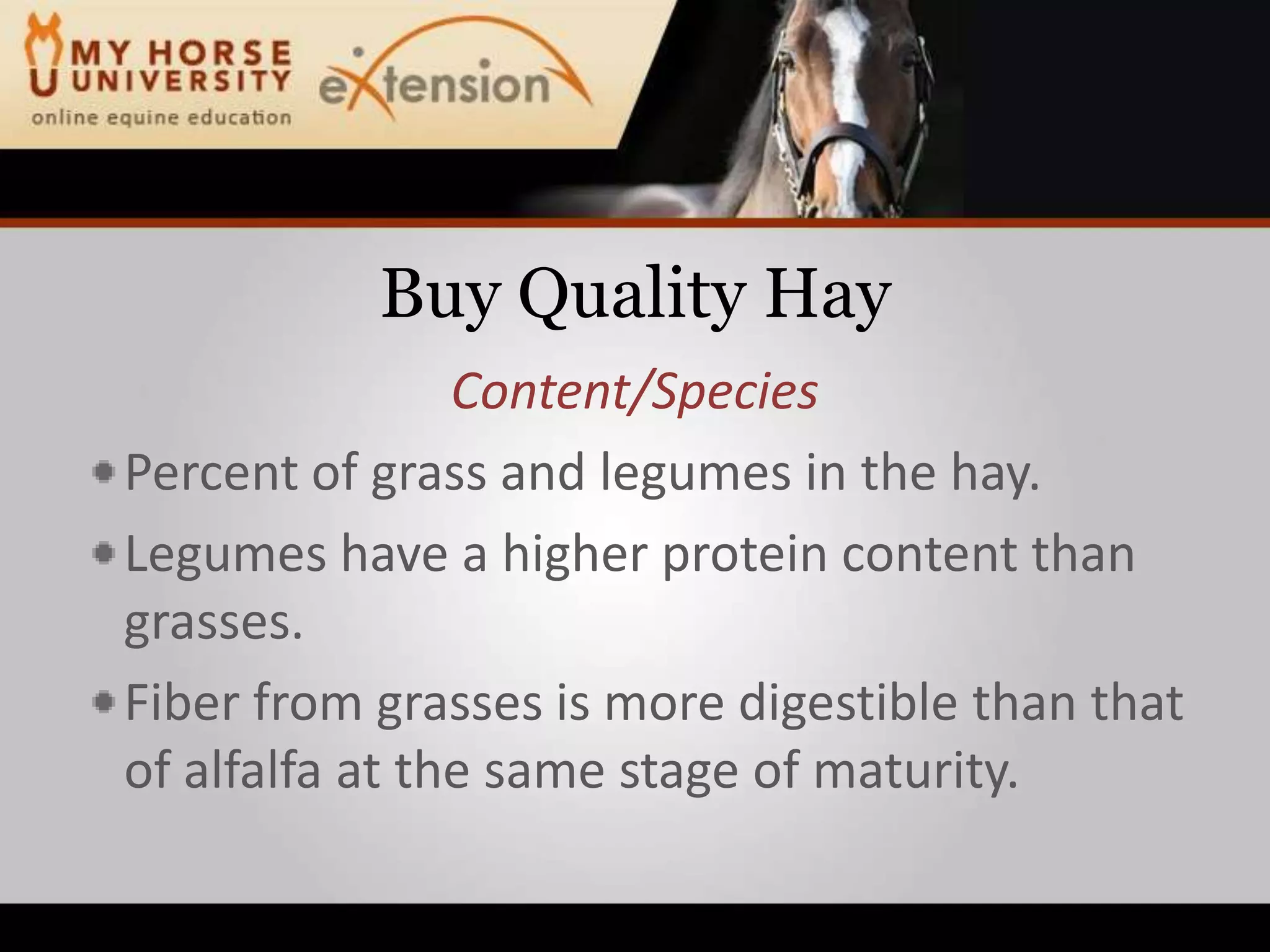 Optimizing Hay And Feeding Storage (Martinson) | PPTX | Equine Sports ...