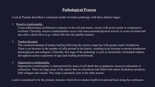 Optimizing knee health: .Managing Patellofemoral Pain Syndrome and ...