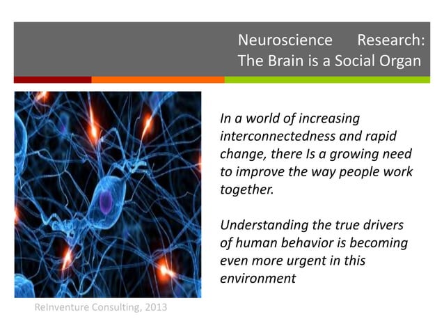 Optimizing leadership a brain-based approach | PPTX | Brain and Nervous System Disorders ...