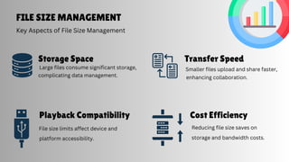 Optimizing Long Recording File Sizes.pdf