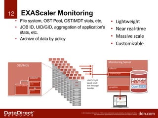 Optimizing Lustre and GPFS with DDN | PPT