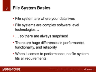 Optimizing Lustre and GPFS with DDN | PDF