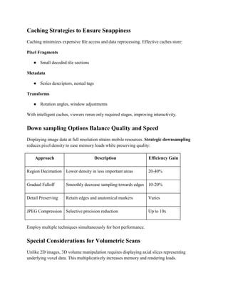 Optimizing Performance Smooth Data Loading in Mobile DICOM Viewers.pdf