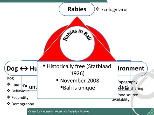 Optimizing rabies control in Bali: An EcoHealth approach | PPT