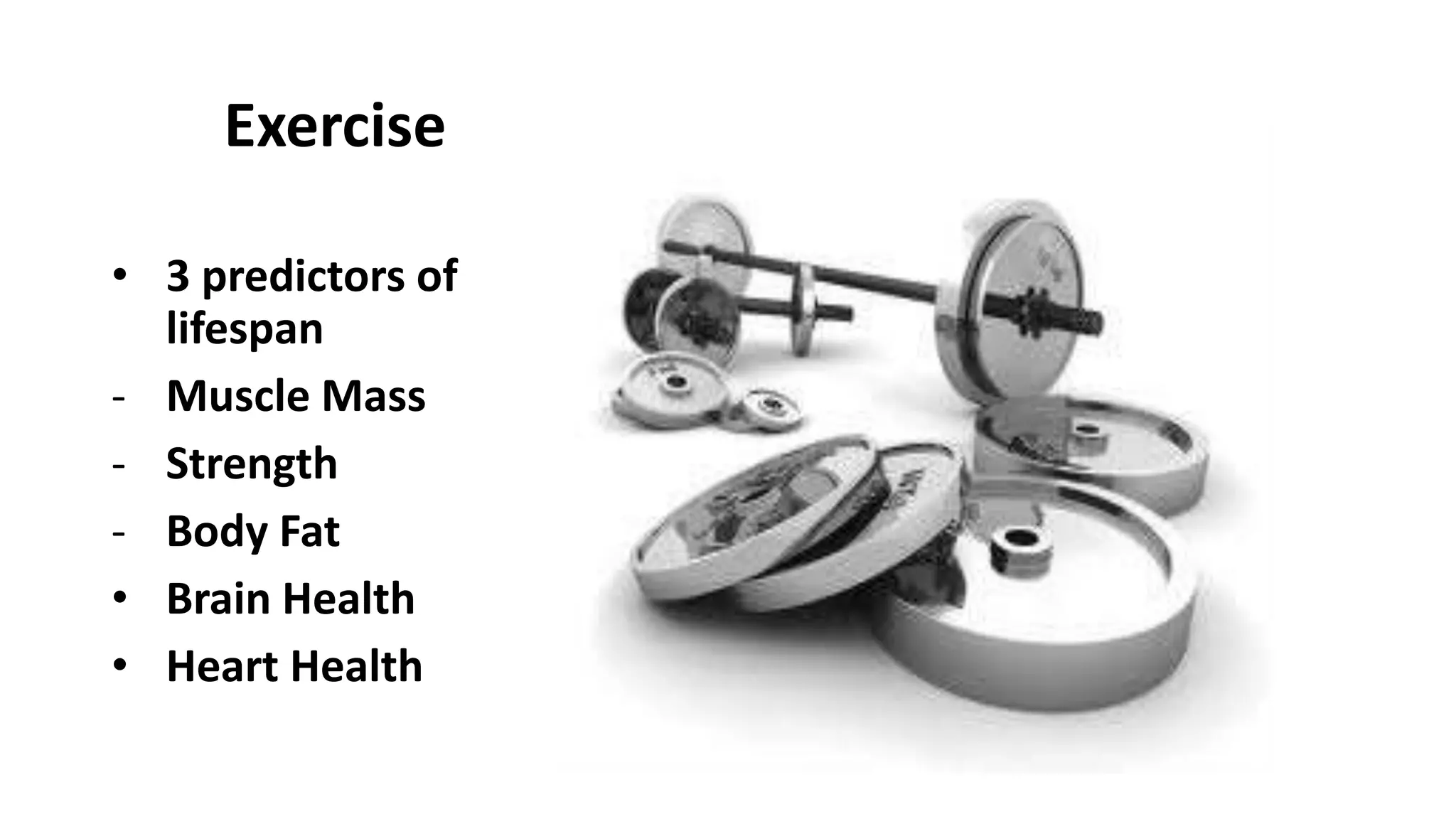 Jamie Rowan - Optimum business, body & mind | PPTX