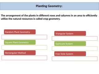 optimum planting geometry and population | PPT
