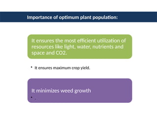 optimum planting geometry and population | PPT