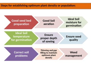 optimum planting geometry and population | PPTX