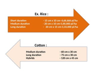 optimum planting geometry and population | PPTX