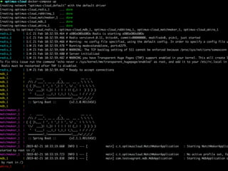 Optimus Cloud User Guide | PDF