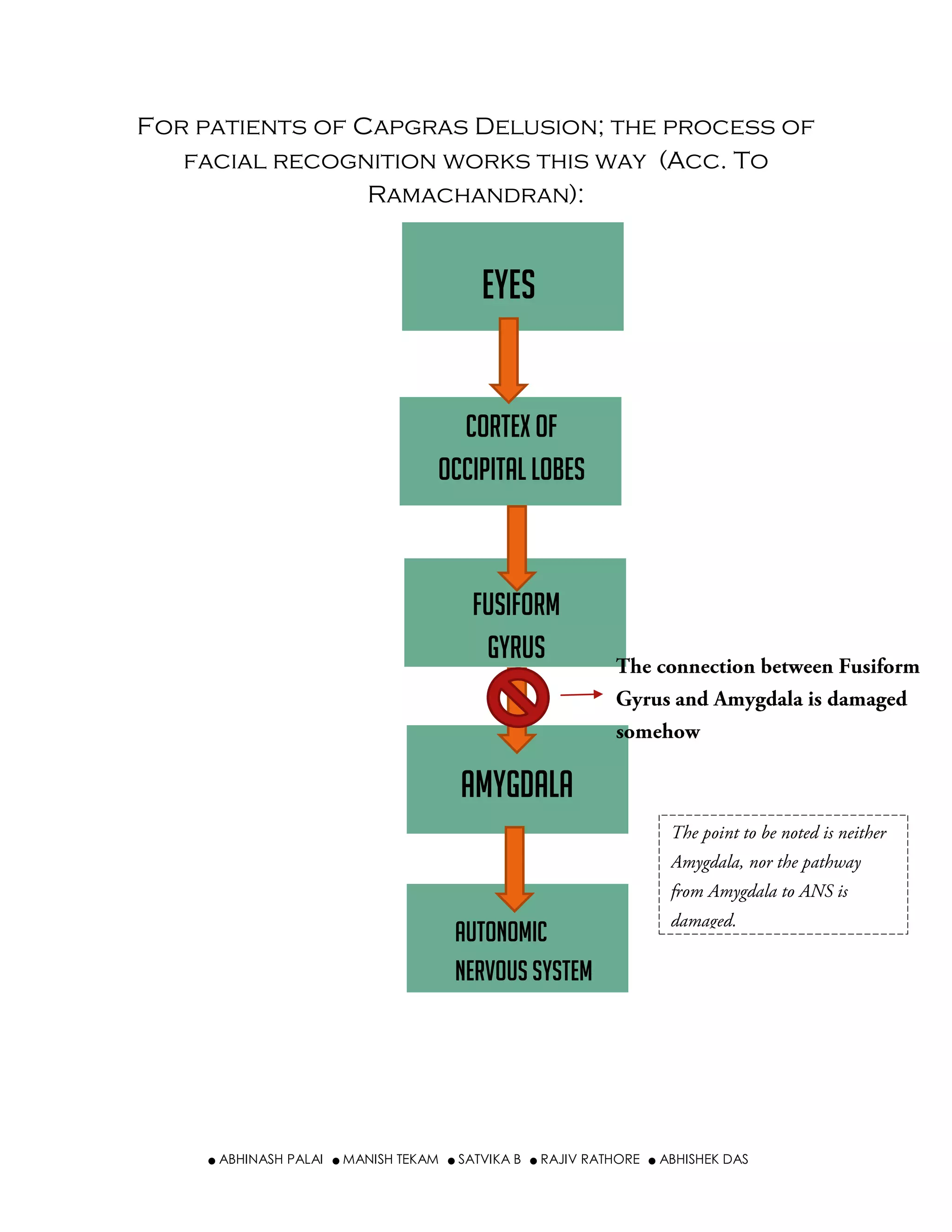 Capgras Delusion/Syndrome | PDF