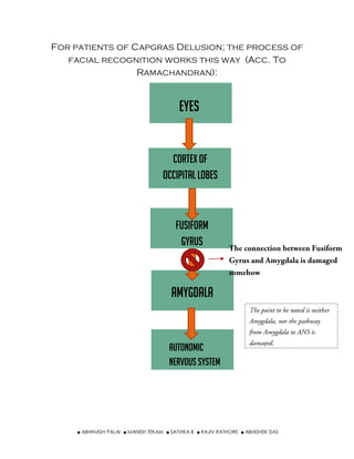 Capgras Delusion/Syndrome | PDF