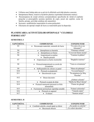 optional ed plastica 2018-2019.docx