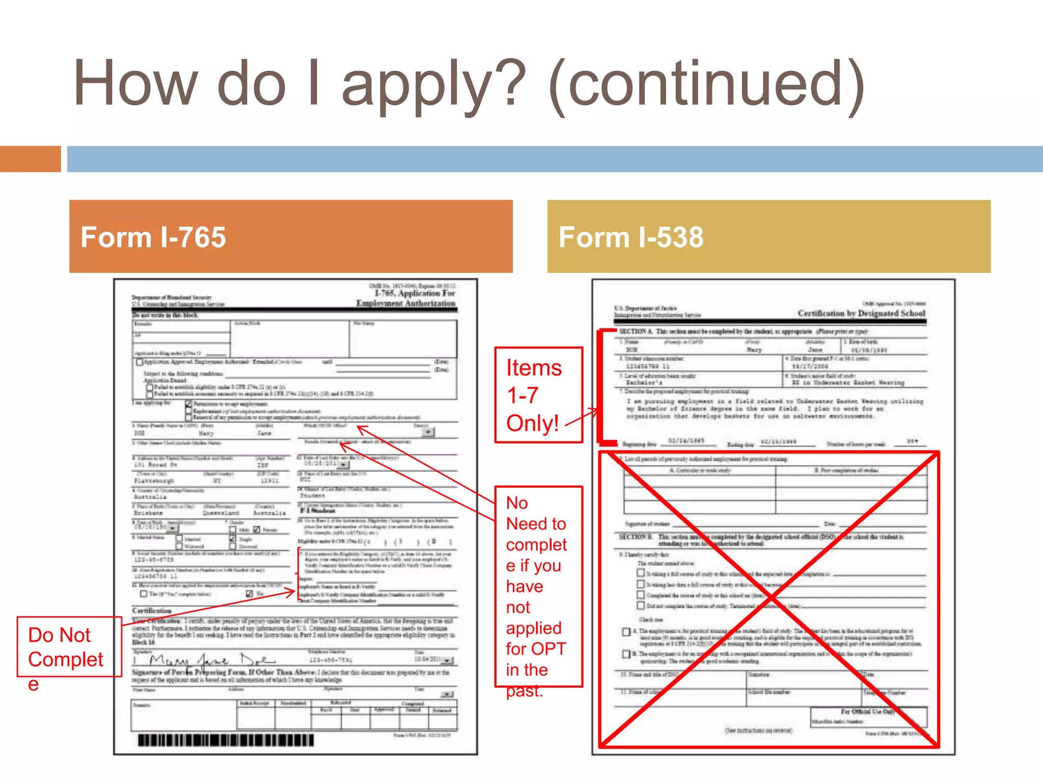 Optional practical training powerpoint | PPT