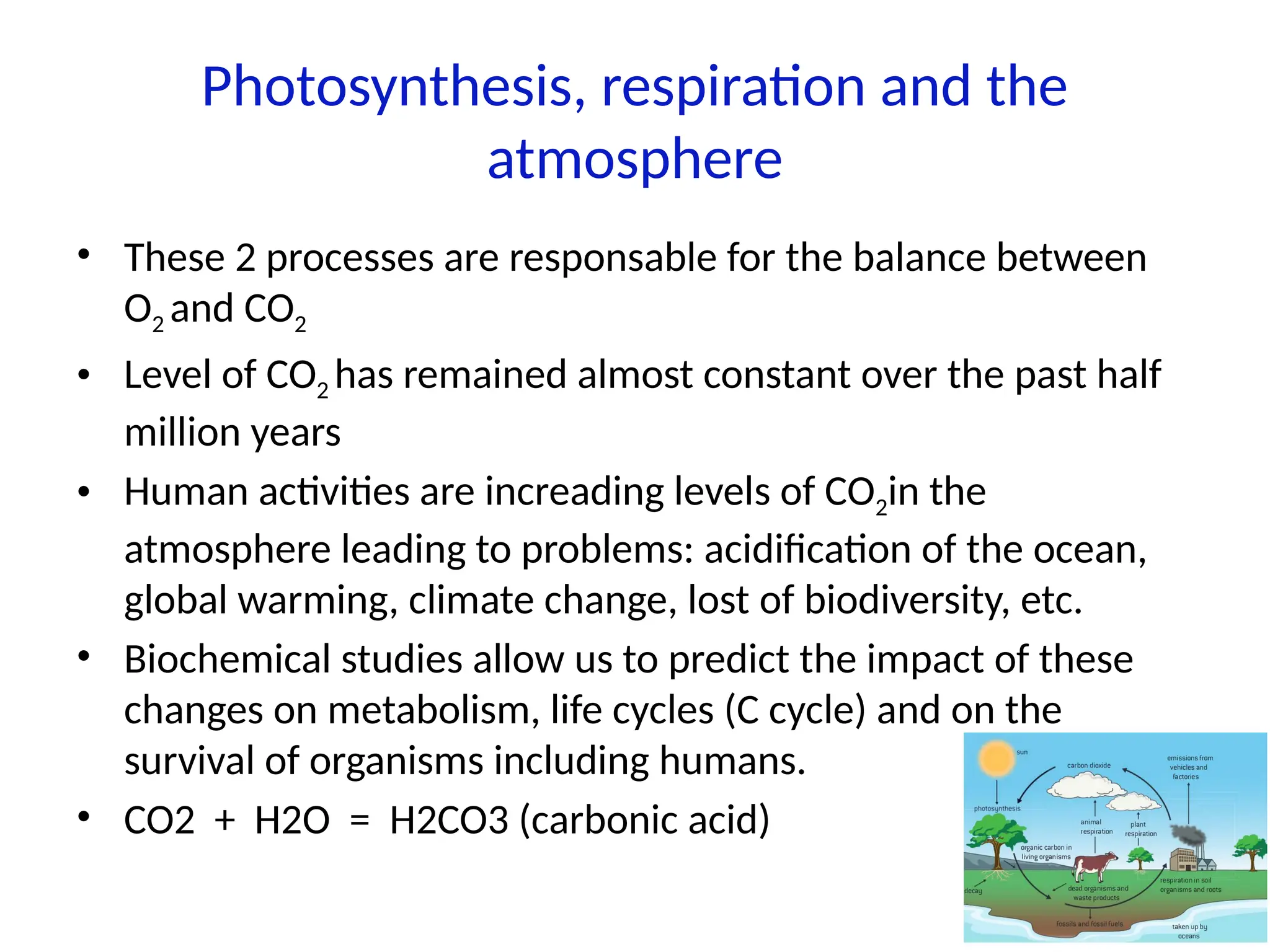 IB Chemistry Option B 1 Introduction.pptx
