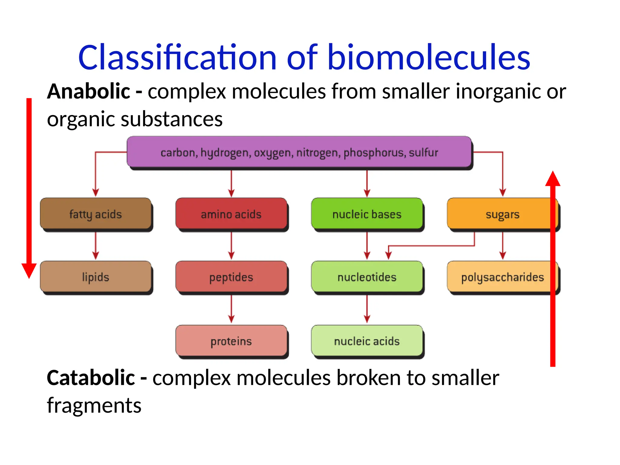 IB Chemistry Option B 1 Introduction.pptx