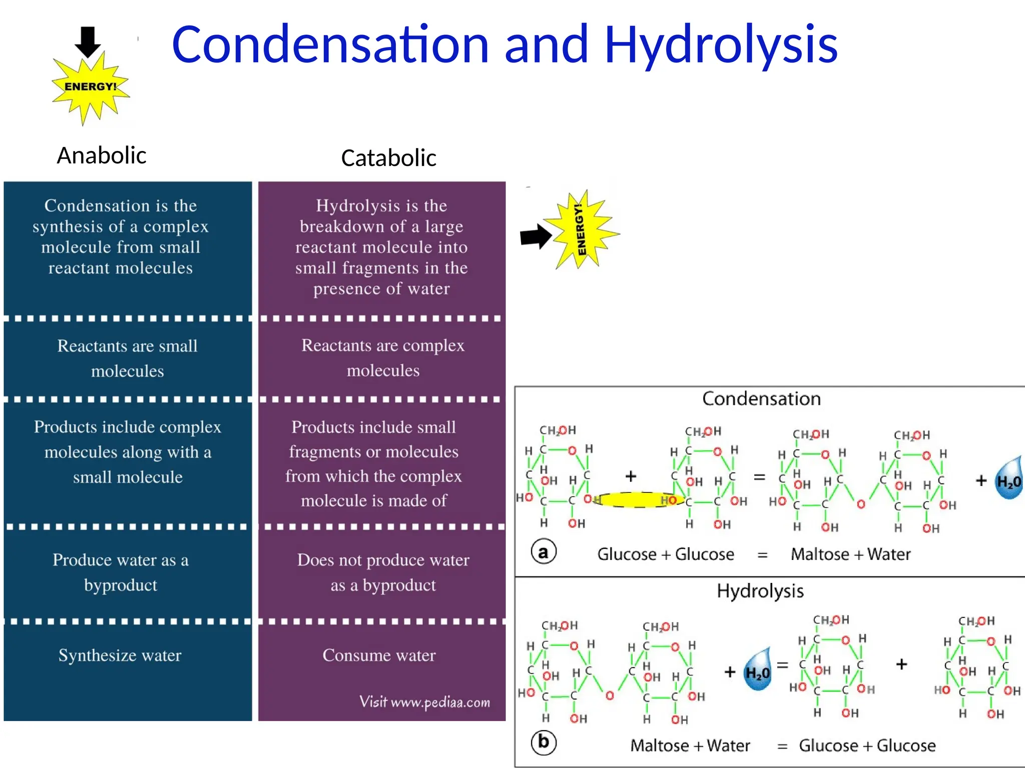 IB Chemistry Option B 1 Introduction.pptx