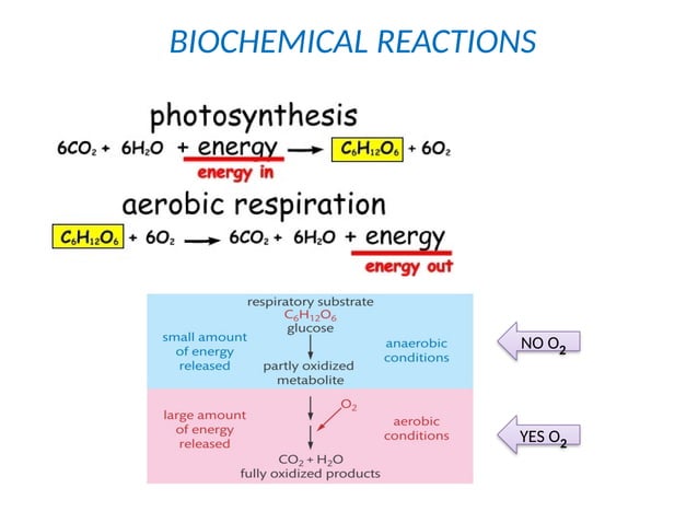 IB Chemistry Option B 1 Introduction.pptx