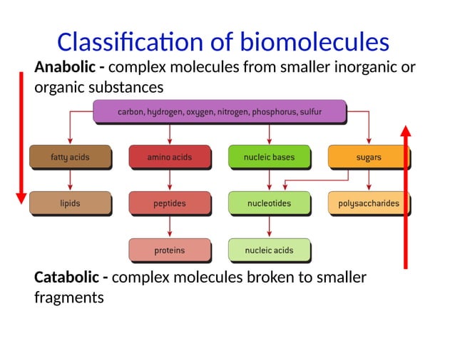 IB Chemistry Option B 1 Introduction.pptx