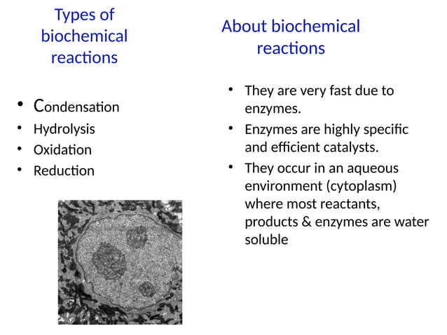IB Chemistry Option B 1 Introduction.pptx