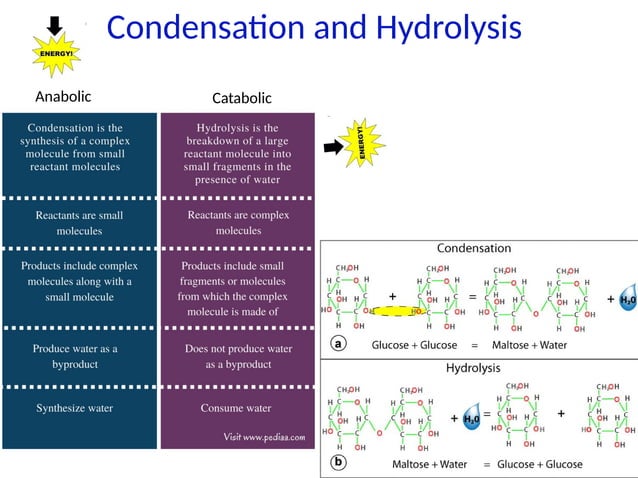 IB Chemistry Option B 1 Introduction.pptx