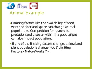 Option c1 species and communities | PPT