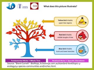 Option c1 species and communities | PPT