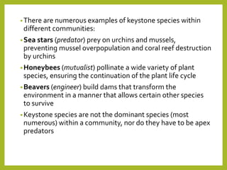 Option c1 species and communities | PPT