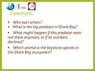 Option c1 species and communities | PPT