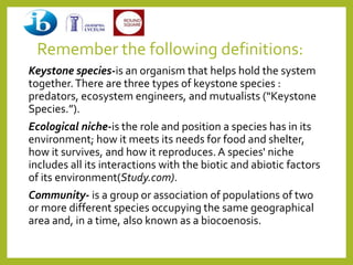 Option c1 species and communities | PPT