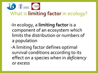 Option c1 species and communities | PPT