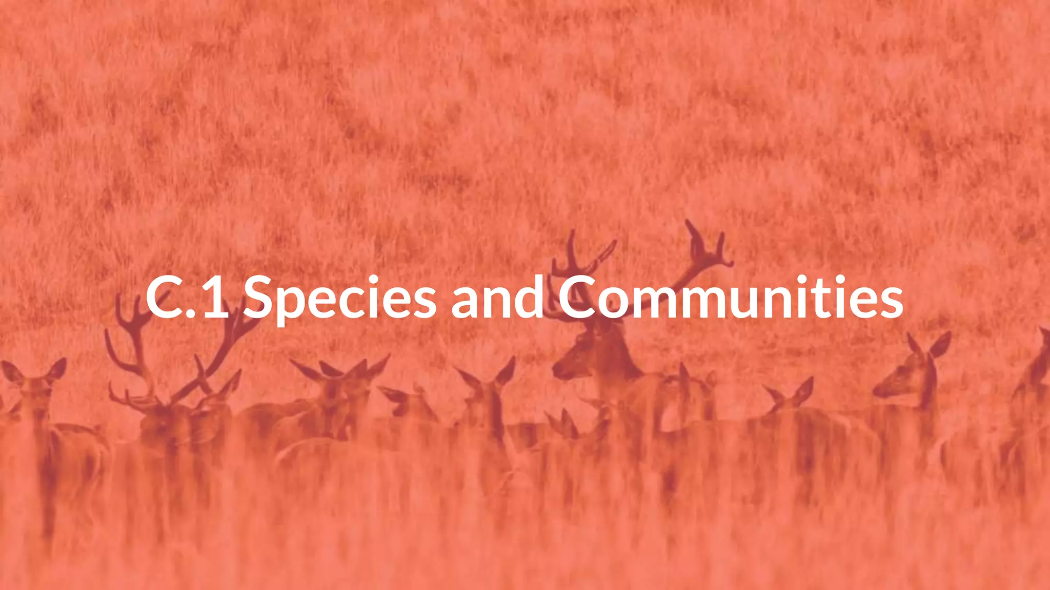 Option C Ecology and Conservation | PPTX