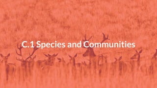 Option C Ecology and Conservation | PPTX
