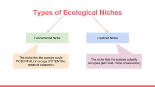 Option C Ecology and Conservation | PPTX