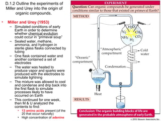Option d evolution | PPT | Biological Sciences | Science