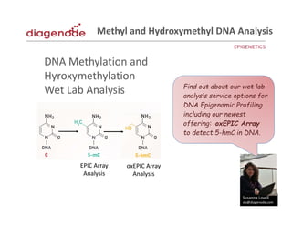 Options for DNA Methylation Analysis | PPT