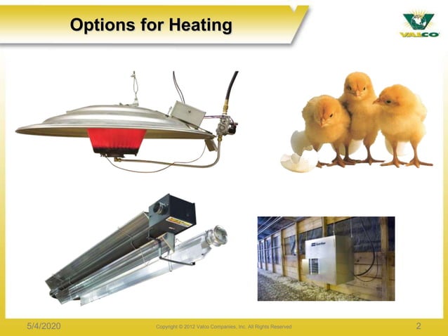 Options for Heating Poultry Houses | PPTX