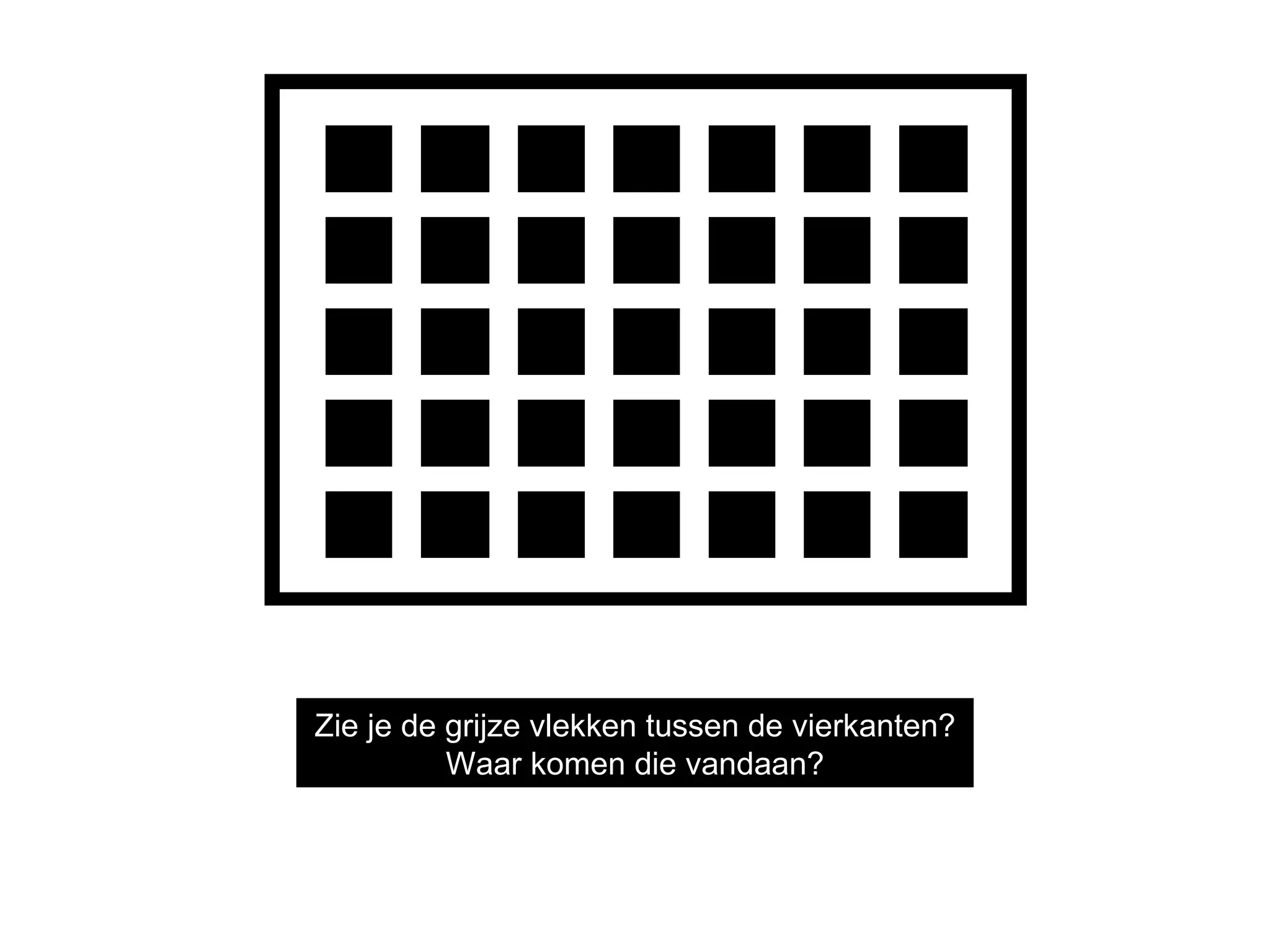 Optisch bedrog | PPS