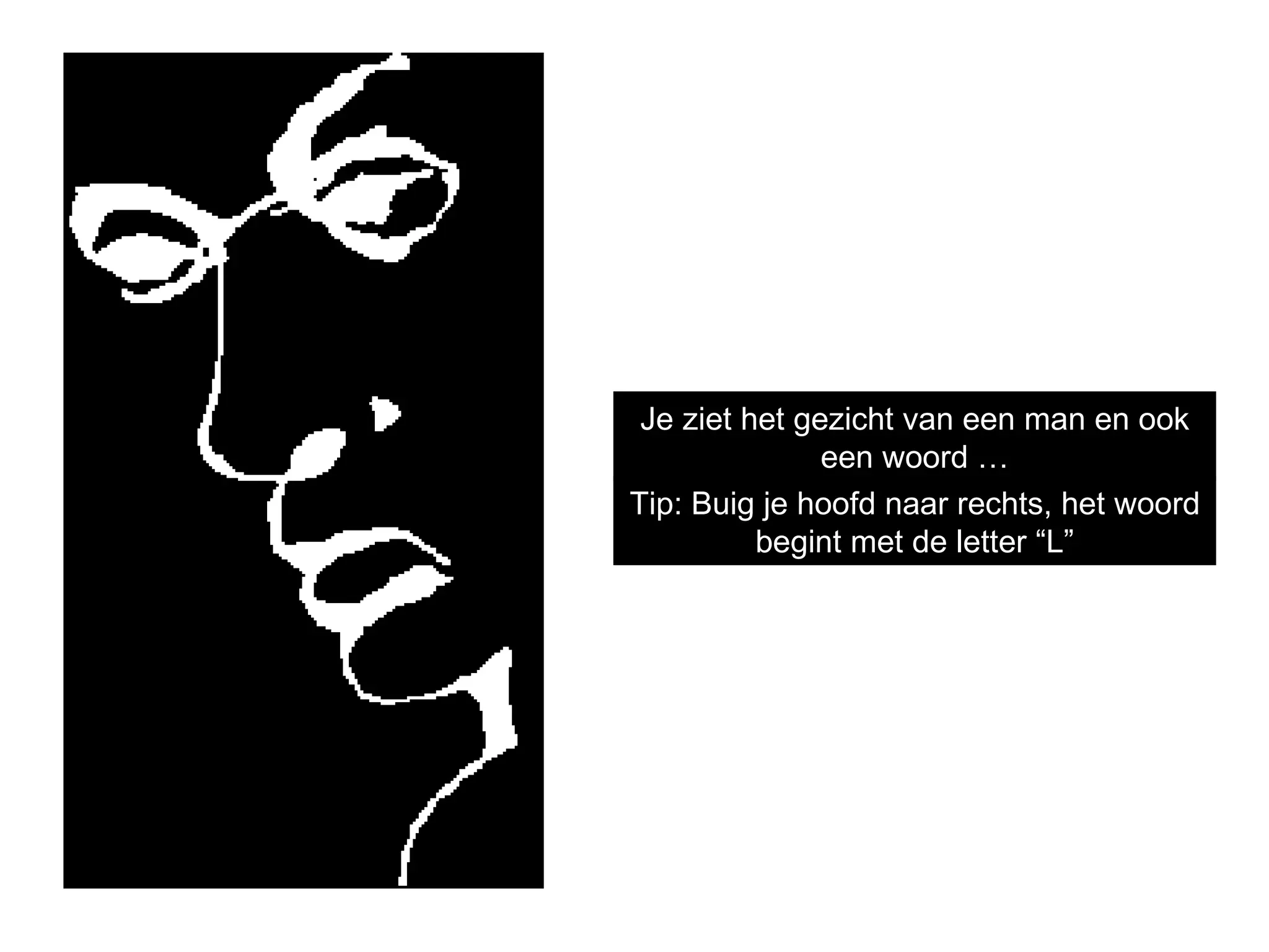 Optisch bedrog | PPS