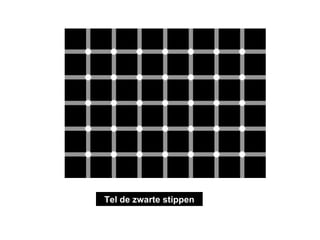 Optisch bedrog | PPS