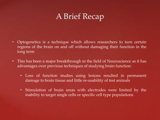 Optogenetics | PPTX